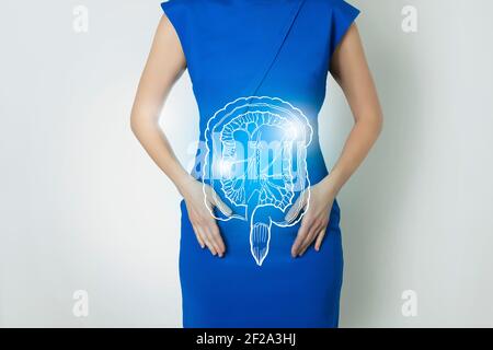 highlighted blue internal organs of healthy human organsim / protection ...