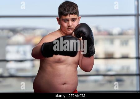 Young overweight confident boxer posing in the gym Stock Photo - Alamy