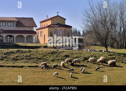 SERBIAN ORTHODOX MONASTERY IN DONJI BUDACKI IN CROATIA Stock Photo - Alamy