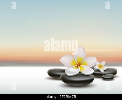 Black stones with white and pink frangipani flowers paper label vector ...