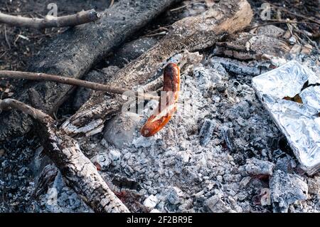 A selective focus shot of a prepared sausage on a wood stick on fire ...