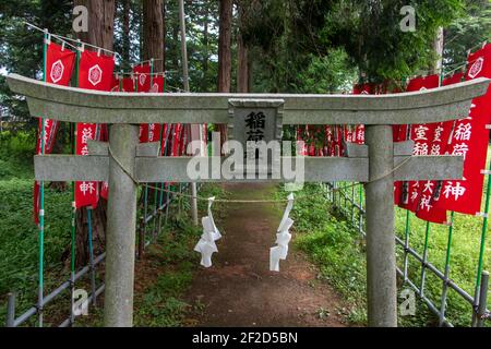 Torii gate of Kawaguchi Sengen Shrine and Mt Stock Photo - Alamy