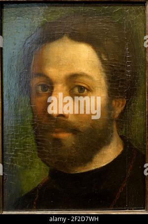Portrait of a Man, by Sebastiano Luciani, called Sebastiano del Piombo ...