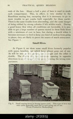 Practical queen rearing (Page 36) BHL23224620 Stock Photo - Alamy