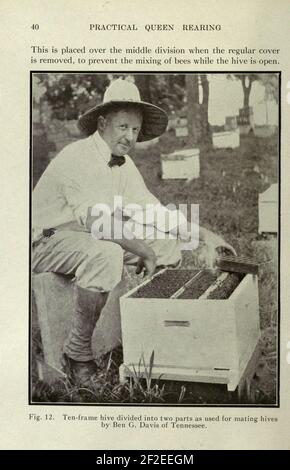 Practical queen rearing (Page 40) BHL23224624 Stock Photo - Alamy