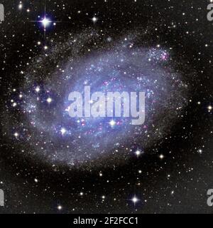 NGC 300 Hubble Stock Photo - Alamy