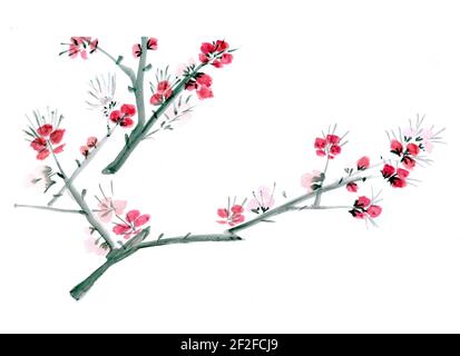 Traditional Chinese Painting. Cherry tree flowers on the branch of tree ...