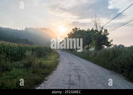 Rural landscape around village of Ogra in Mureș County, Transylvania ...