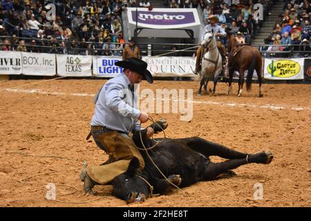 WRCA 23rd World Championship Ranch Rodeo, Amarillo, Texas, USA Stock ...