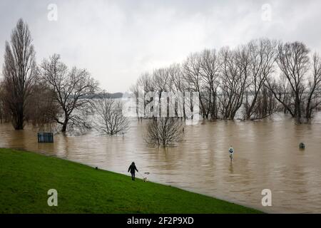 flood marker on Rhine riverside, Germany, North Rhine-Westphalia, Rees ...