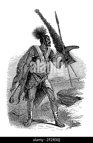 Antique 19th-century illustration of a Basotho tribal chief. Engraving ...