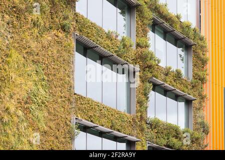 Green wall vertical garden of MTV studios building located in Camden ...