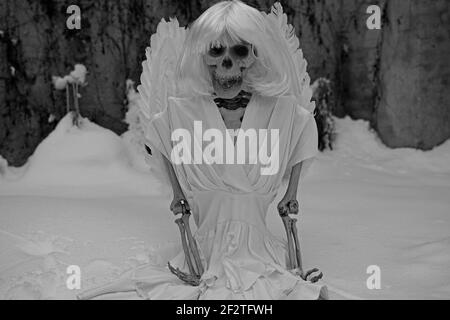 Last angel skeleton of an angel in white snow Stock Photo - Alamy