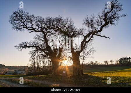 The idyllic village of Grund near Wolfegg next to the Altdorf Forest ...