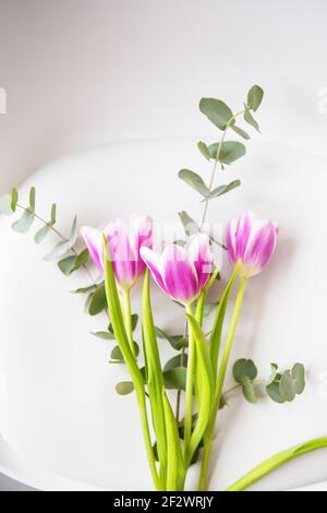 Beautiful purple tulip with eucalyptus on a white chair along with a ...