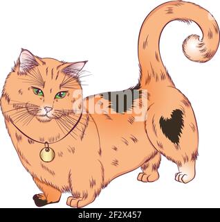 Standing cat breed Munchkin or Sausage cat. Line art vector ...