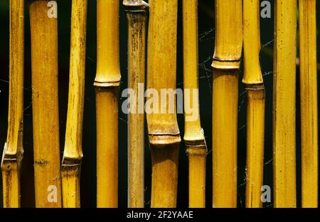 Traditional bamboo crafts for room dividers and room backgrounds Stock ...