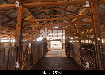 Old shearing shed at Charlotte Plains, an old cattle and sheep station near Cunnamulla ...