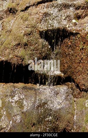 A mountain stream pouring over rocks Stock Photo - Alamy