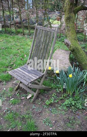 hedge of Apple trees, landscape design fragment. summer view Stock ...