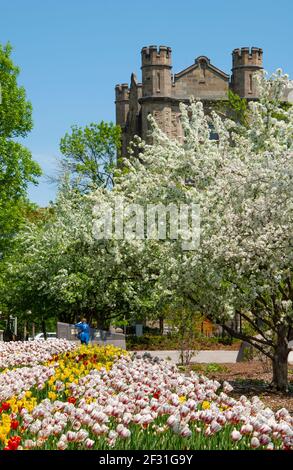 Major's Hill Park in downtown of the city. People siting on lawn in the ...