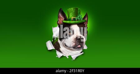 Cute Dog wearing a leprechaun hat with clover leaves. Dog T-shirt ...