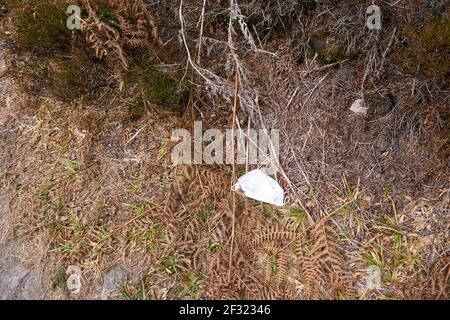A closeup view of a medical protective mask hanging from the dried ...