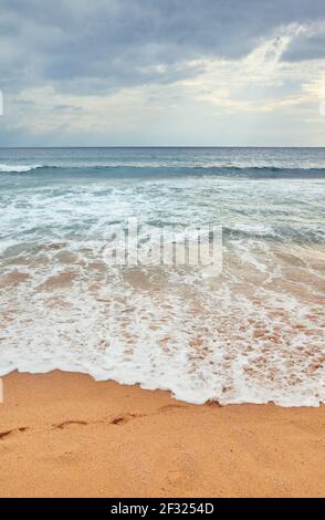 Summer tropical background. Sunset at the Ocean Stock Photo - Alamy