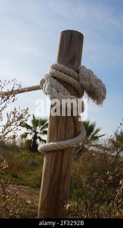 Vertical shot of a wooden log with rope by the sea Stock Photo - Alamy