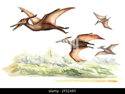 Pterodactyl dinosaur. Watercolor hand drawn illustration, isolated on ...