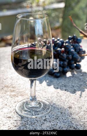 Tasting of Portuguese fortified dessert and dry port wine, produced in ...