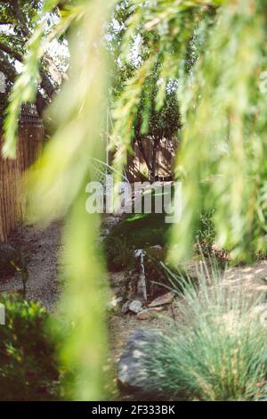 idyllic sunny backyard with lots of plants aand tree with haning chair ...