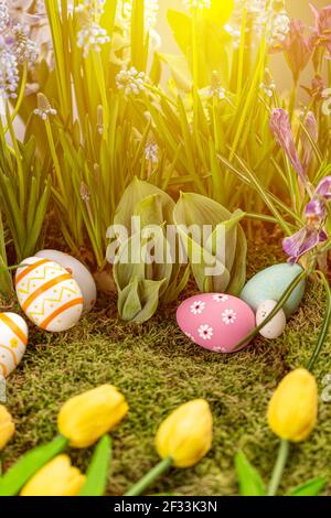 Colorful spring tulip and greeting card. Women's day background with ...