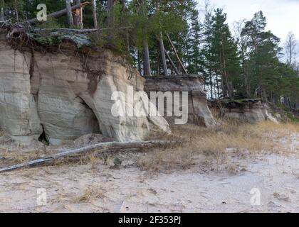 Land outcrops. The outcrops are mainly composed of fine-grained to ...