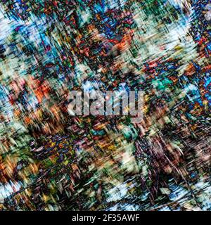 Digitally enhanced image of a flowering Australian Coral Gum tree ...