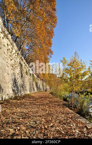 Italy - trees along Tevere river between Todi and Marsciano Stock Photo ...