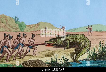 19th century engraving of hunting an alligator in Africa Stock Photo ...