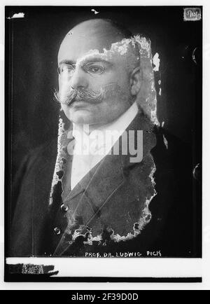 Prof. Dr. Ludwig Pick Stock Photo - Alamy