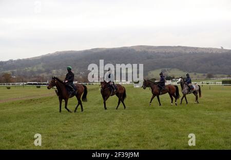 Horses trained by Denise Foster on the gallops ahead of day one of the ...