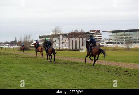 Horses trained by Denise Foster on the gallops ahead of day one of the ...