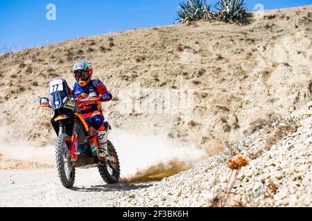 BENAVIDES Luciano (arg), Red Bull KTM Factory Racing, KTM, Rally GP ...