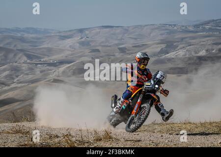BENAVIDES Luciano (arg), Red Bull KTM Factory Racing, KTM, Rally GP ...