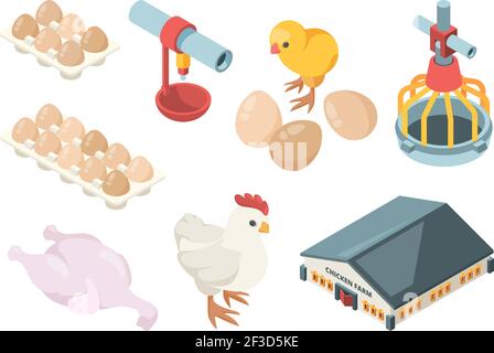Poultry farm industrial production facility with chicken meat on ...