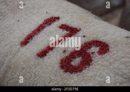 Logie Durno on farm sale, Insch Aberdeenshire Stock Photo - Alamy