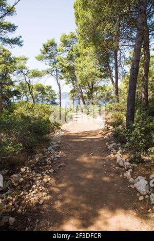 The Forest of Porto Conte in the national regional park, Alghero ...