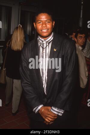 BIRD -1988 DAMON WHITAKER Stock Photo - Alamy