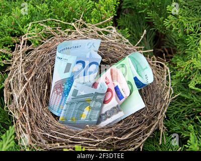 Euro banknotes in a nest Stock Photo - Alamy