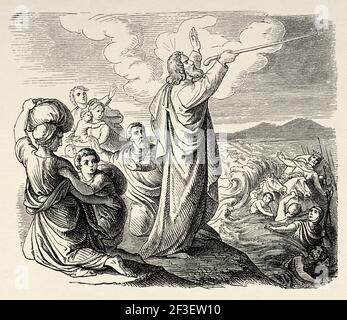 Exodus. Moses leads his people through the passage of the Red Sea, the ...