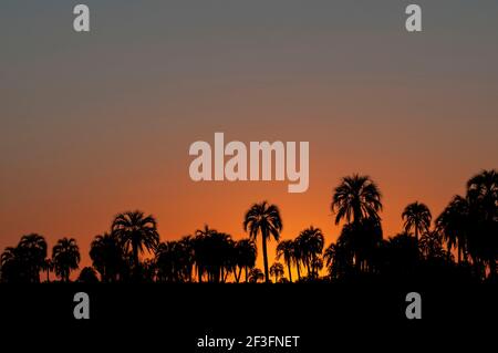 El Palmar National Park, Entre Ríos, Argentina Stock Photo - Alamy