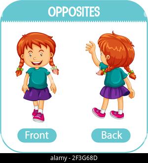 Opposite words for front and back illustration Stock Vector Image & Art ...